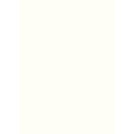 Stratifié EGGER W1001 ST9 - Blanc premium intégral 305x131 cm Ep.0,8mm ...
